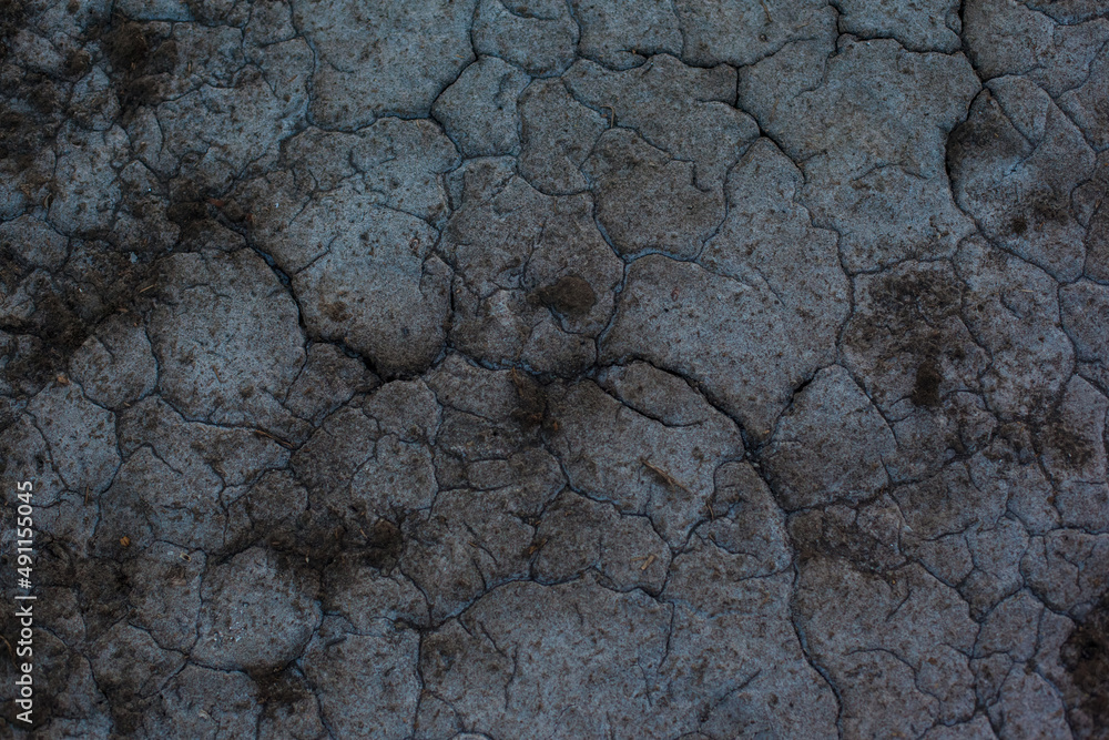 Texture of the dried earth. Dark gray background with cracks and ...
