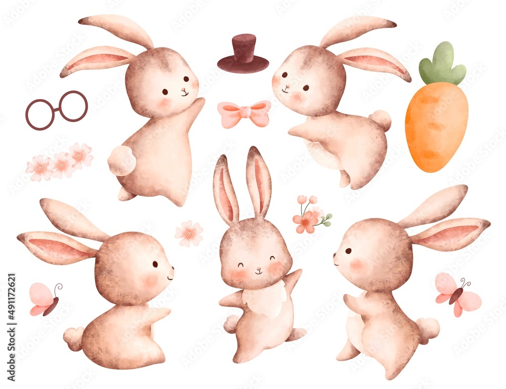 Watercolor Illustration set of Rabbit and Elements Stock Vector | Adobe ...