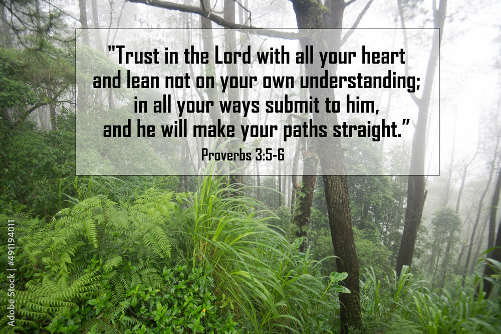 Bible verse quote - Trust in the Lord with all your heart and lean not ...