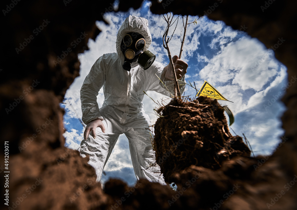 Ecologist planting tree in radioactive death zone. Professional ...