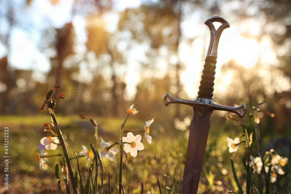 mysterious and magical photo of silver sword in the England woods and ...