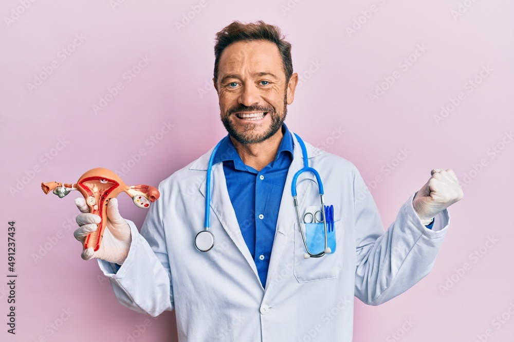 Middle age gynecologist man holding anatomical model of female genital ...