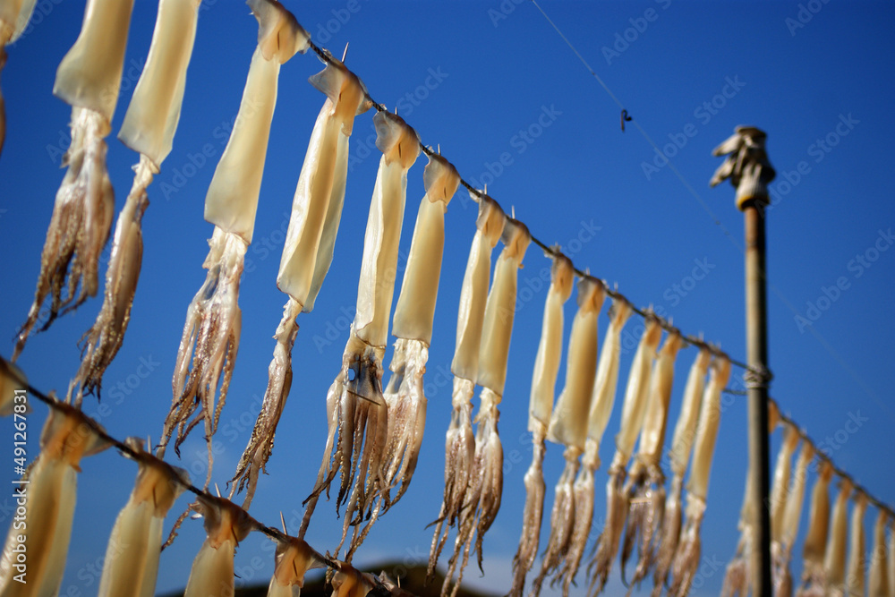 Stockfoto It is a traditional Korean way of hanging squid from a rope ...