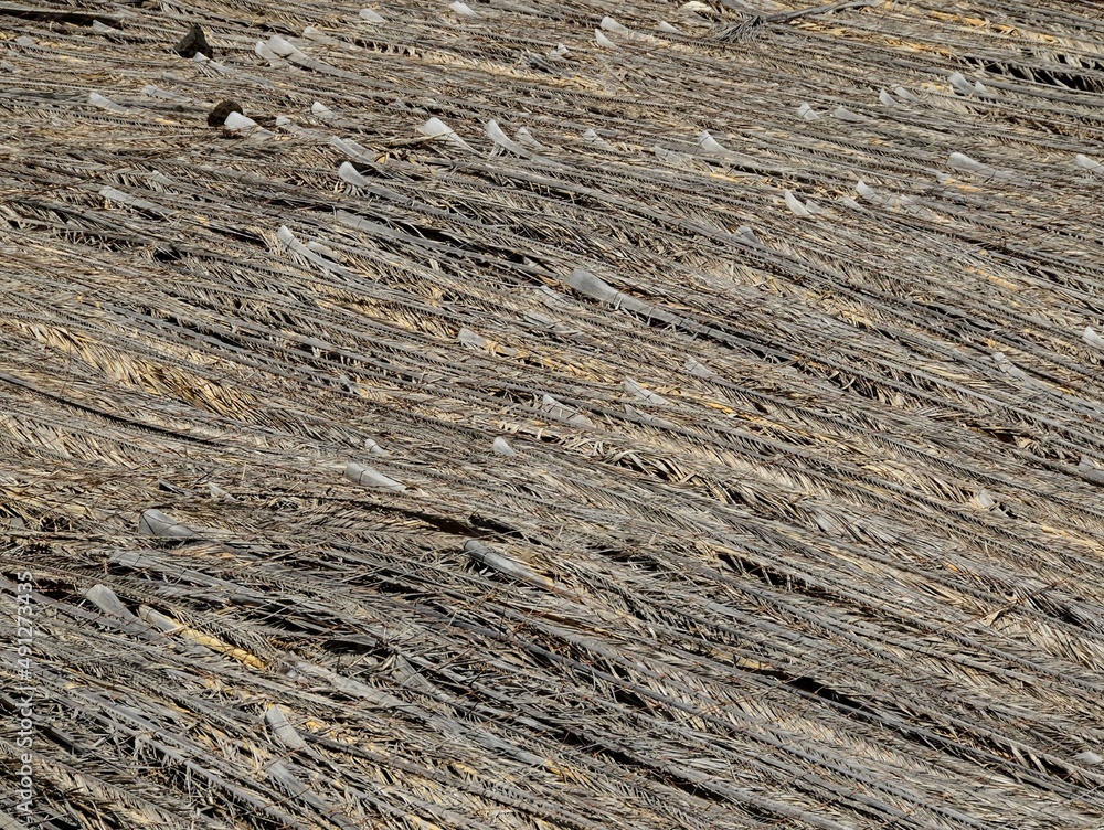 Texture of the classic thatch roof Stock Photo | Adobe Stock