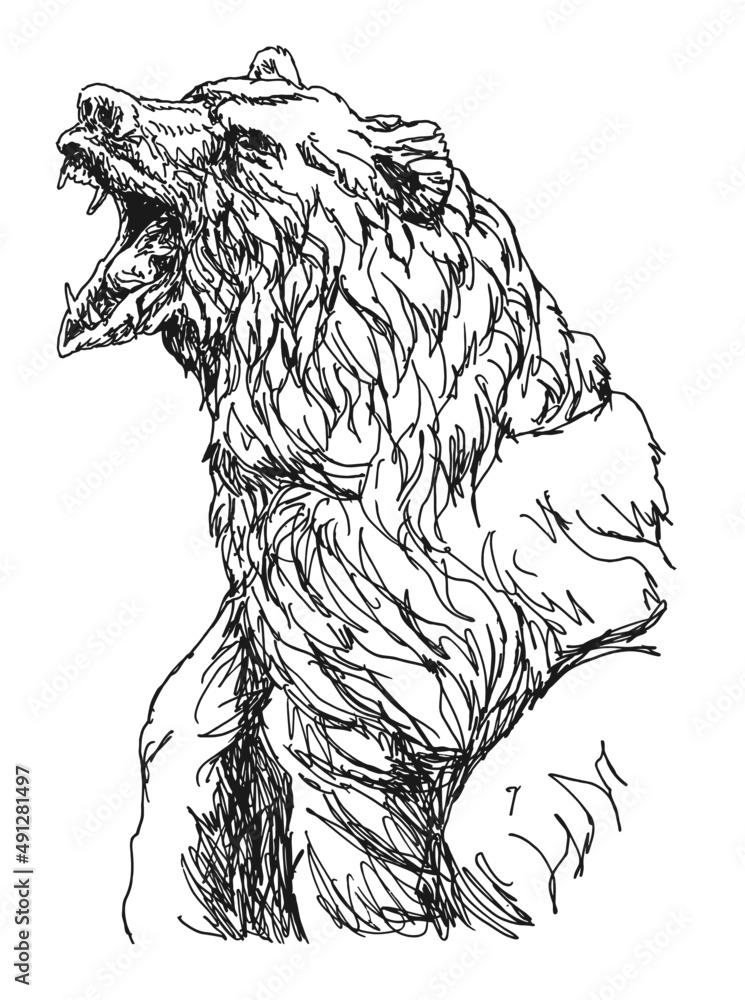 roaring grizzly brown bear, animal art, hand drawn line art vector ...