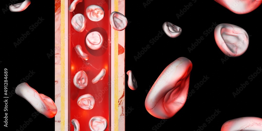 skin layer red blood cells vein vascular surgery 3d illustration Stock ...