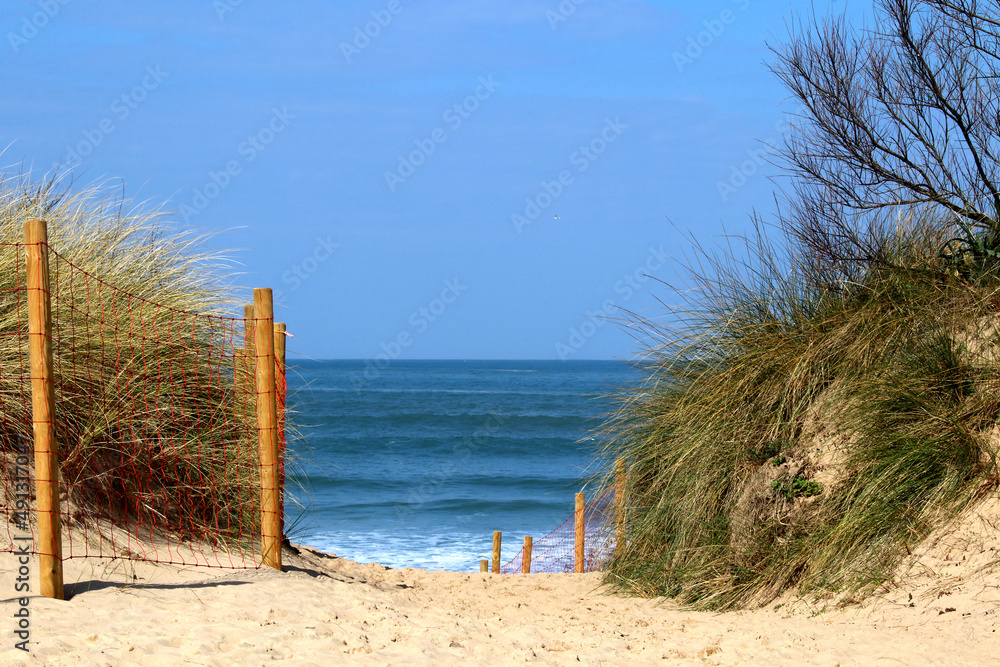 The sand path leading to the beach in summer Stock Photo | Adobe Stock