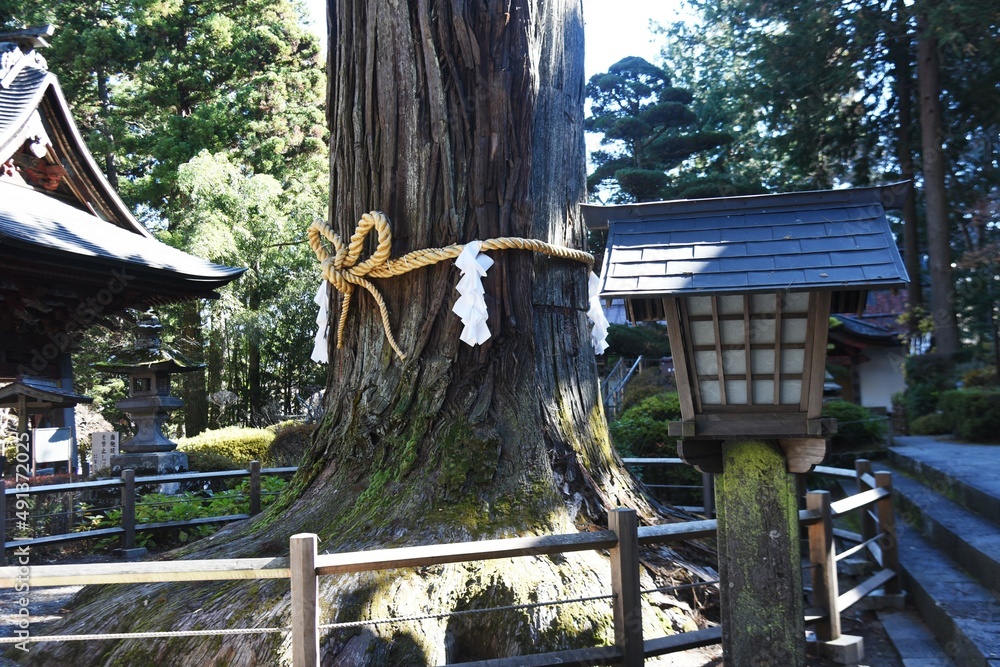 The culture and tradition of Japanese shrines Shimenawa. Shimenawa is a ...