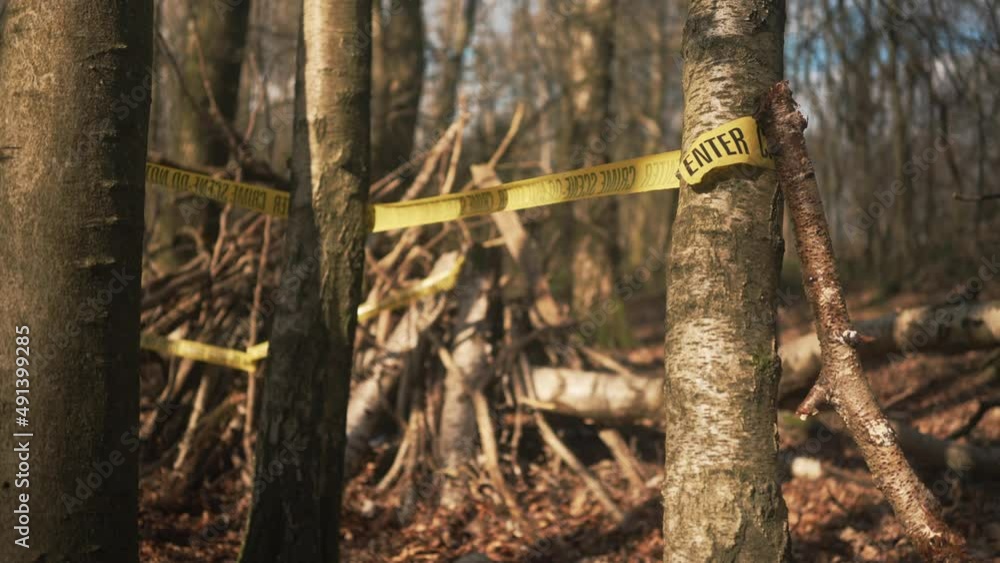 Crime scene in the woods. Taped and cornered off area with Crime Scene ...