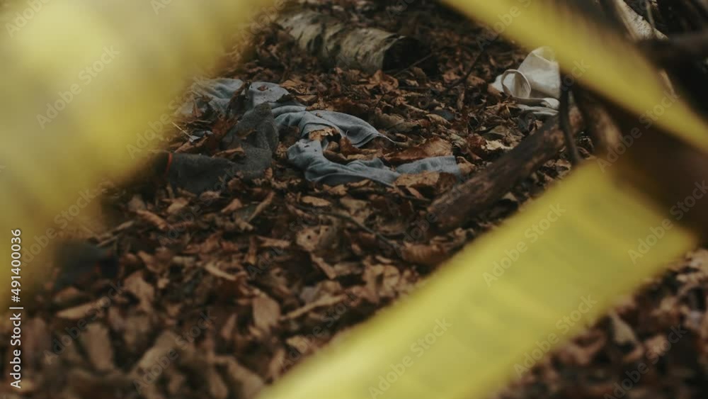 Crime scene in the woods. Taped and cornered off area with Crime Scene ...