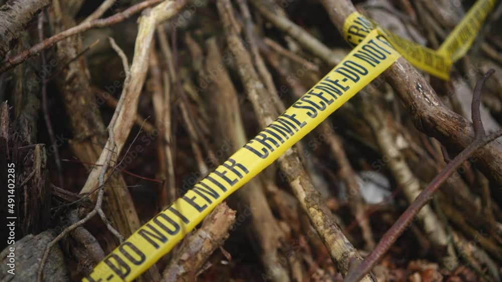 Crime scene in the woods. Taped and cornered off area with Crime Scene ...