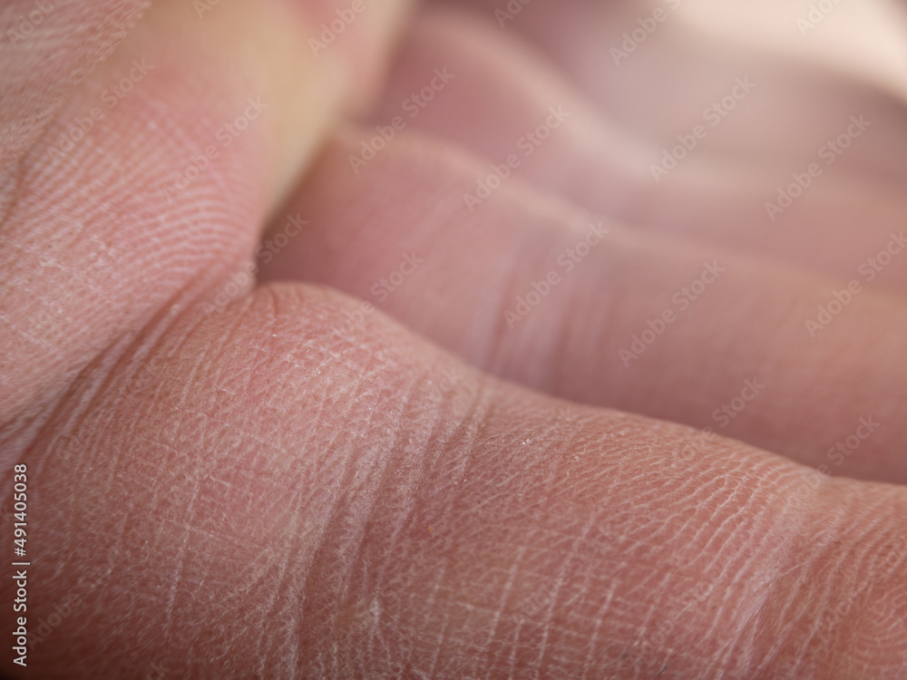 Macro photo of the skin of a human hand with a shallow depth of field ...