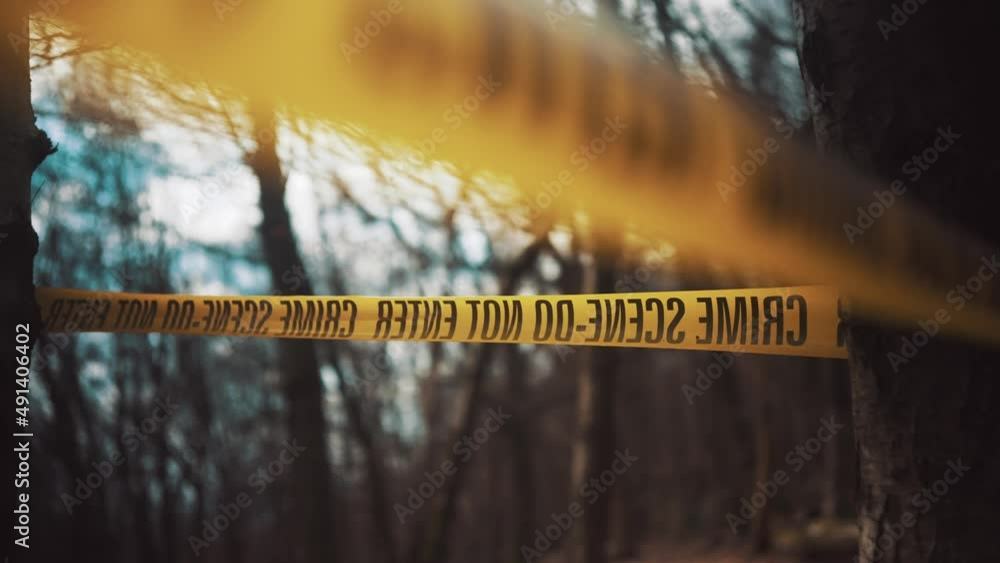 Crime scene in the woods. Taped and cornered off area with Crime Scene ...