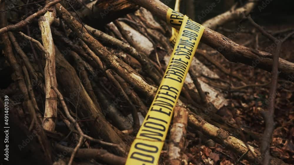 Crime scene in the woods. Taped and cornered off area with Crime Scene ...