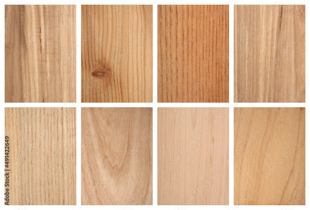 Different Wood Textures Stock Photo | Adobe Stock