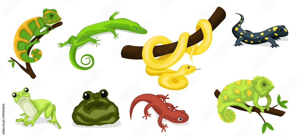 Reptiles Clipart