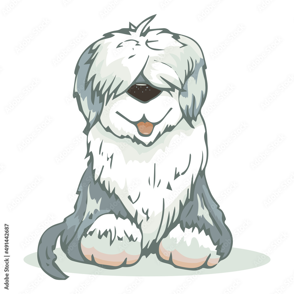 170_dogs and accessories_cute big dog of the Commander breed, fluffy ...