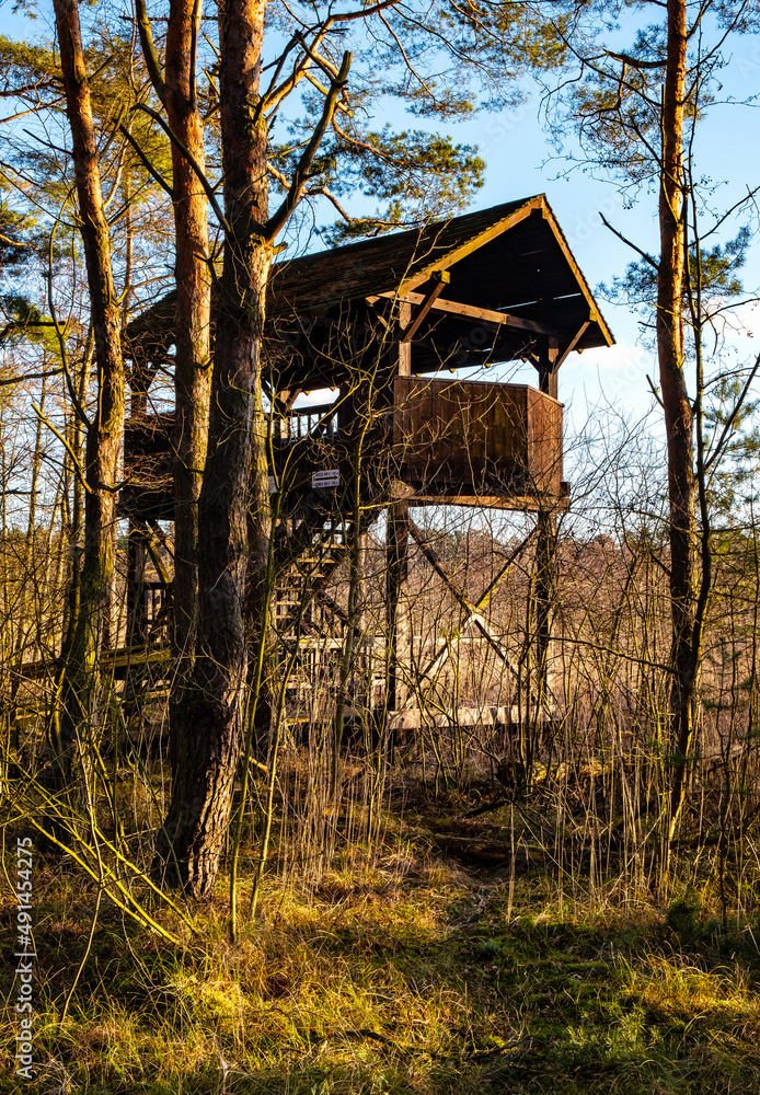 Observation platform in Bird Paradise - Ptasi Raj - wildlife reserve ...