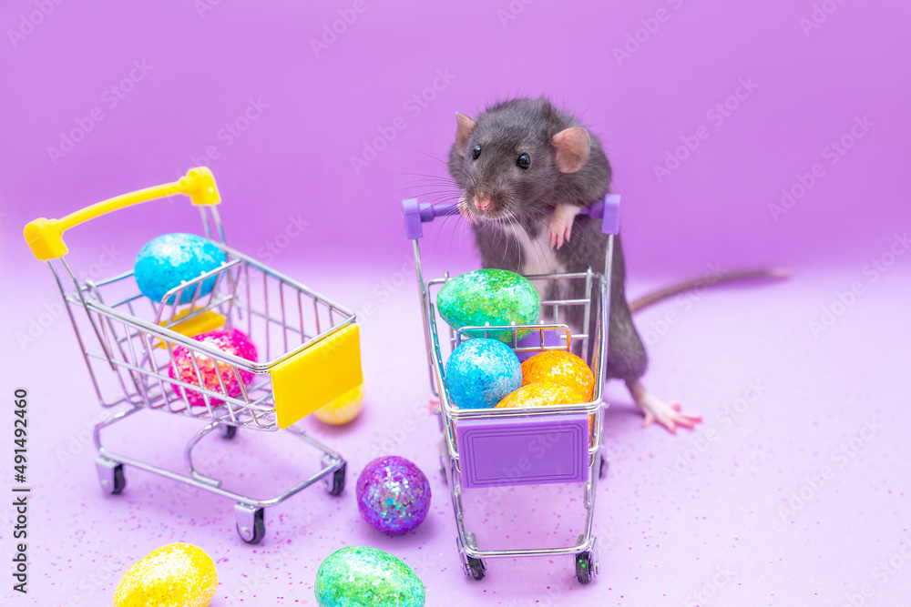 Happy Easter background. Easter eggs are colorful in a shopping basket ...