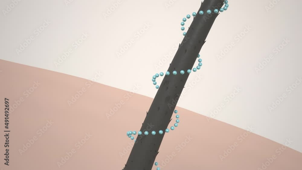 Care, restoration and nutrition of damaged hair structure. Split ends ...