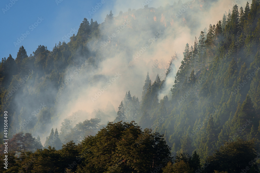 Forest fires due to climate change, large forests and national parks in ...