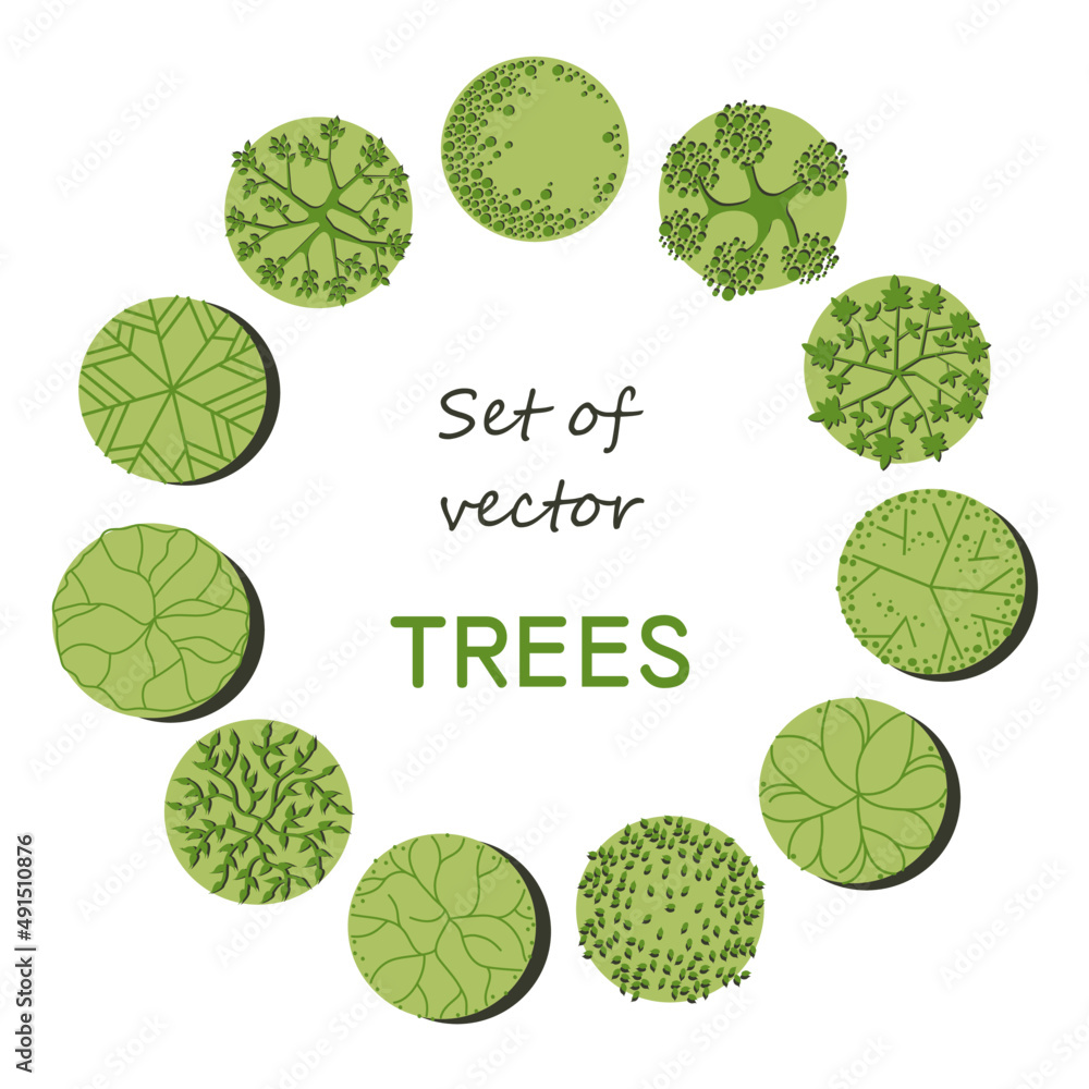 Trees for the master plan. Tree for architectural floor plans ...