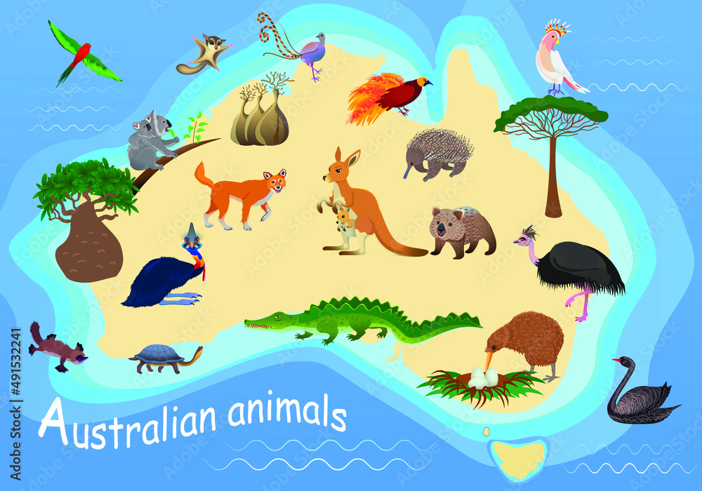 Animals of Australia on the map. Emo ostrich, cassowary, wombat ...
