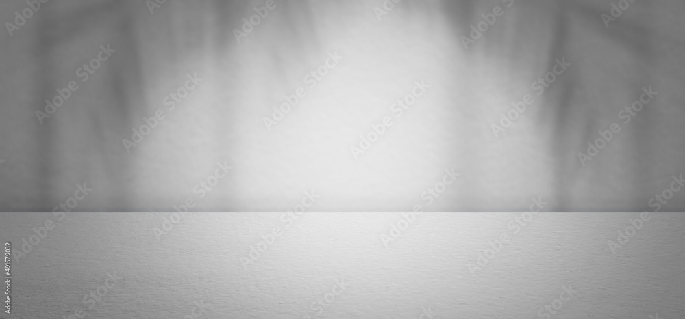 Backdrop empty gray cement wall room background with shadow palm leaves ...