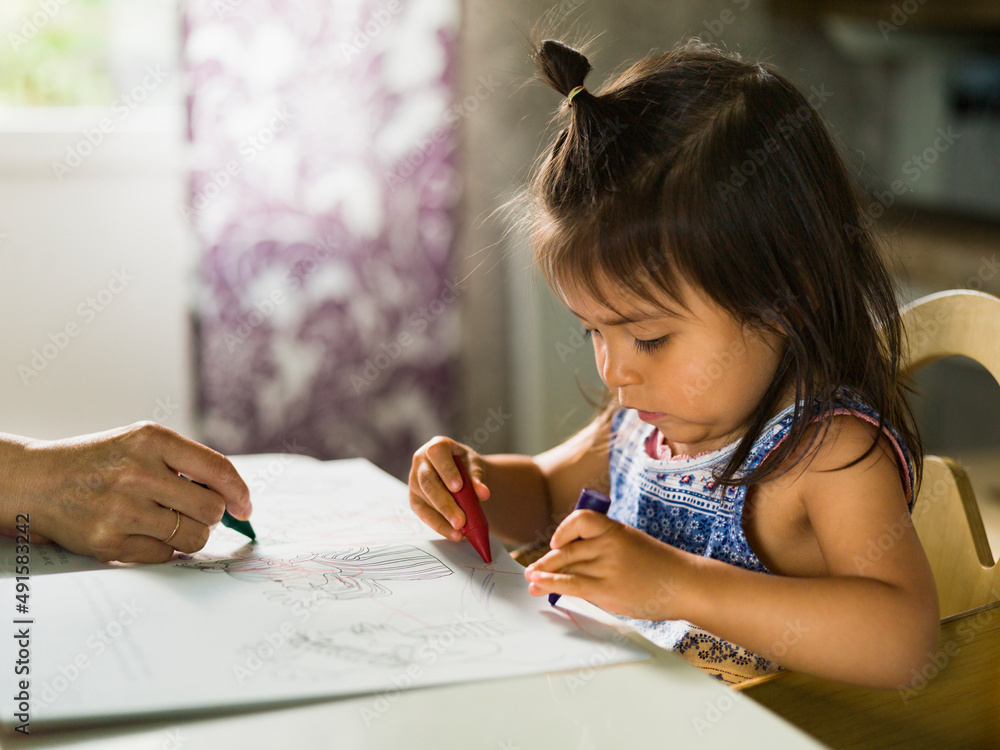 Girl drawing at table Stock Photo | Adobe Stock