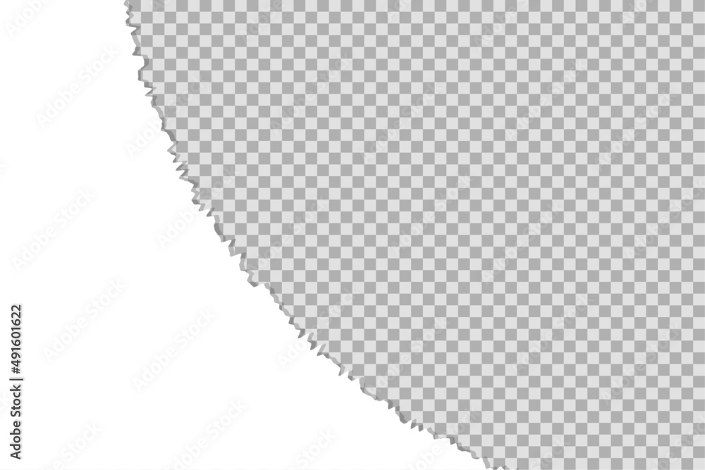 Ripped paper edge vector illustration. Texture of teared, torn photo ...