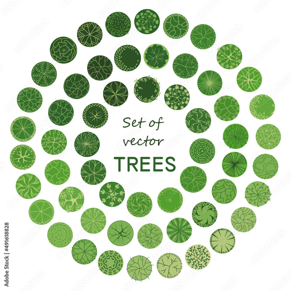 Trees for the master plan. Tree for architectural floor plans ...