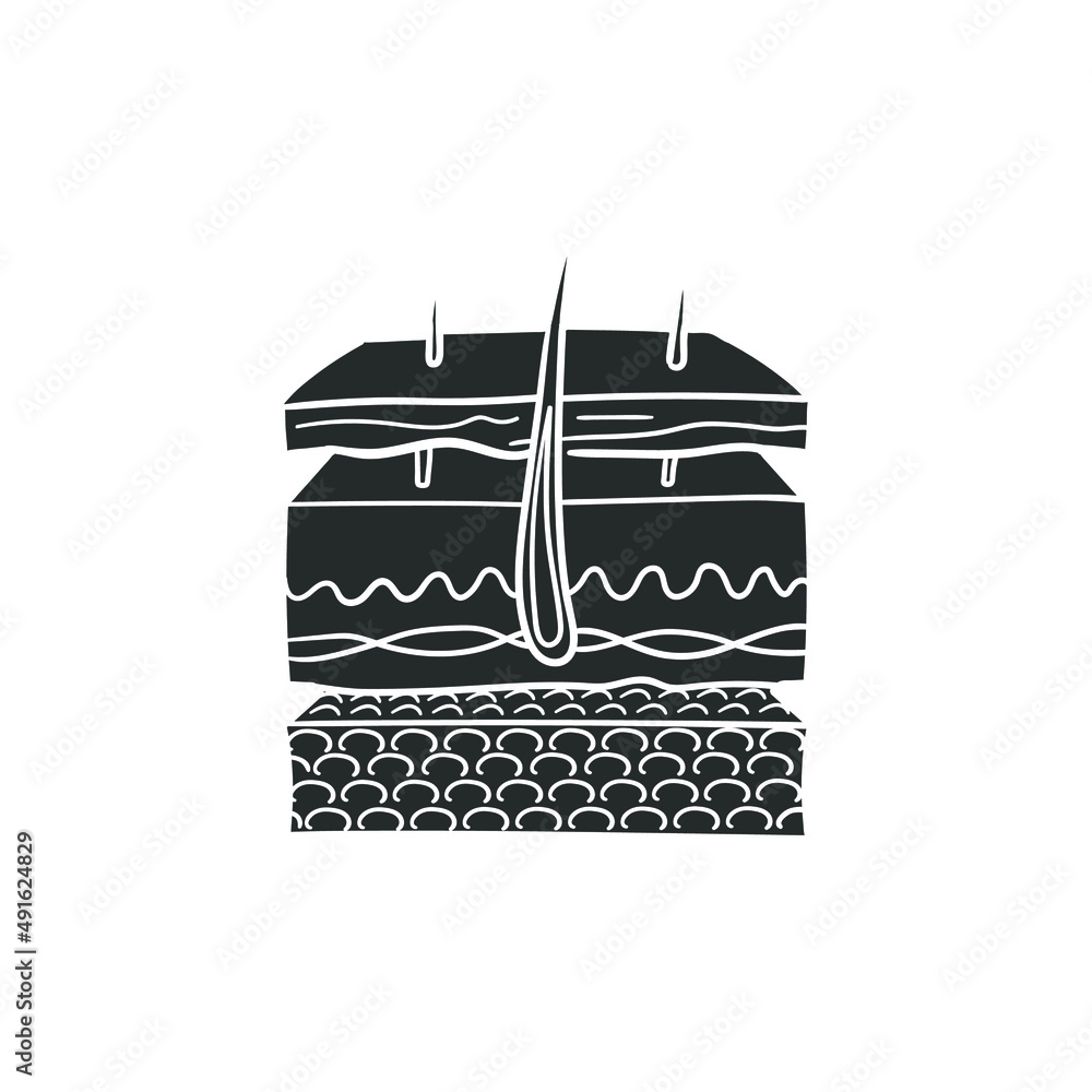 Skin Parts Icon Silhouette Illustration. Dermatology Cell Hydration ...