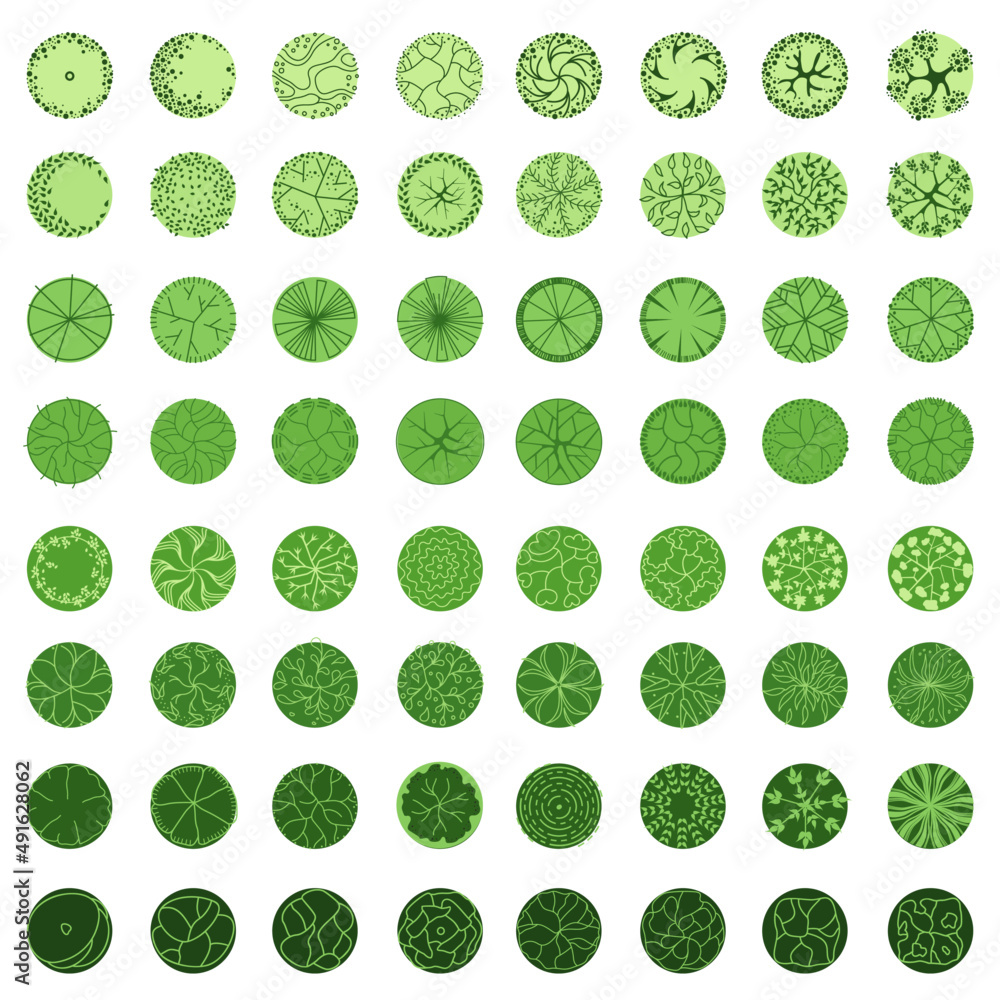 Trees for the master plan. Tree for architectural floor plans ...