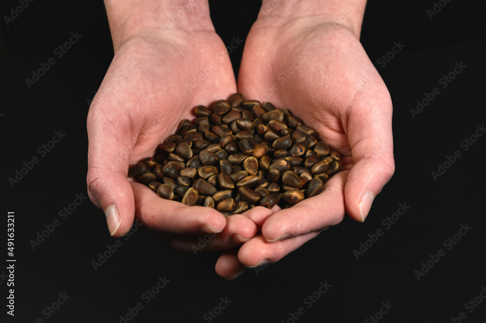 A handful of pine nuts lies in the palms, hands, nuts and a black ...