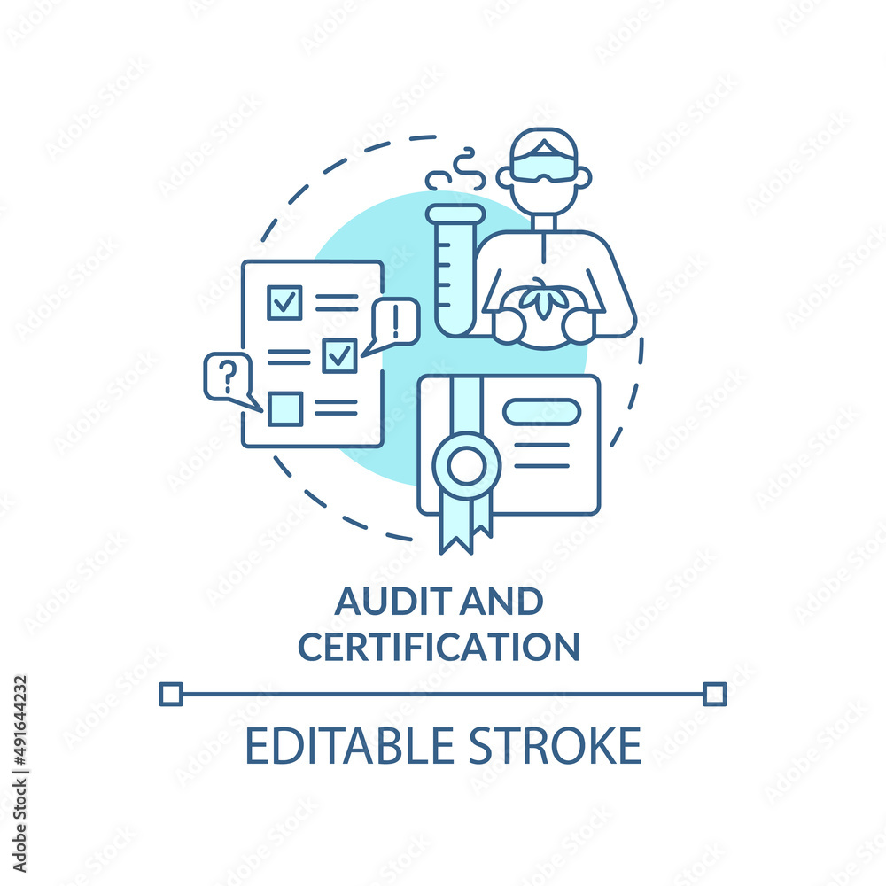 Audit and certification turquoise concept icon. Testing service ...