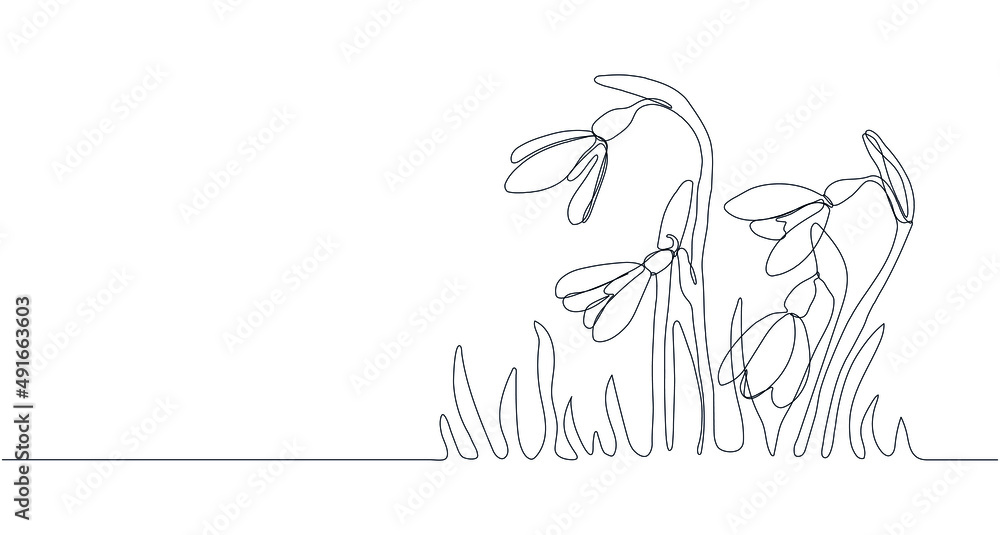 Primrose. One single line. Vector illustration. Doodle floral border ...