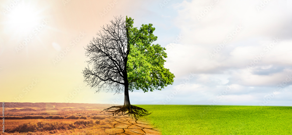 Klimawandel in eine grüne Umwelt Stock Photo | Adobe Stock
