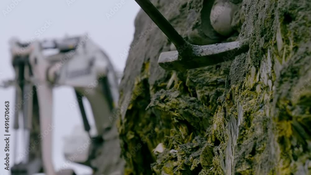 Surveyor Manually Using Rock Hammer Tool To Scope Dirt From Natural ...