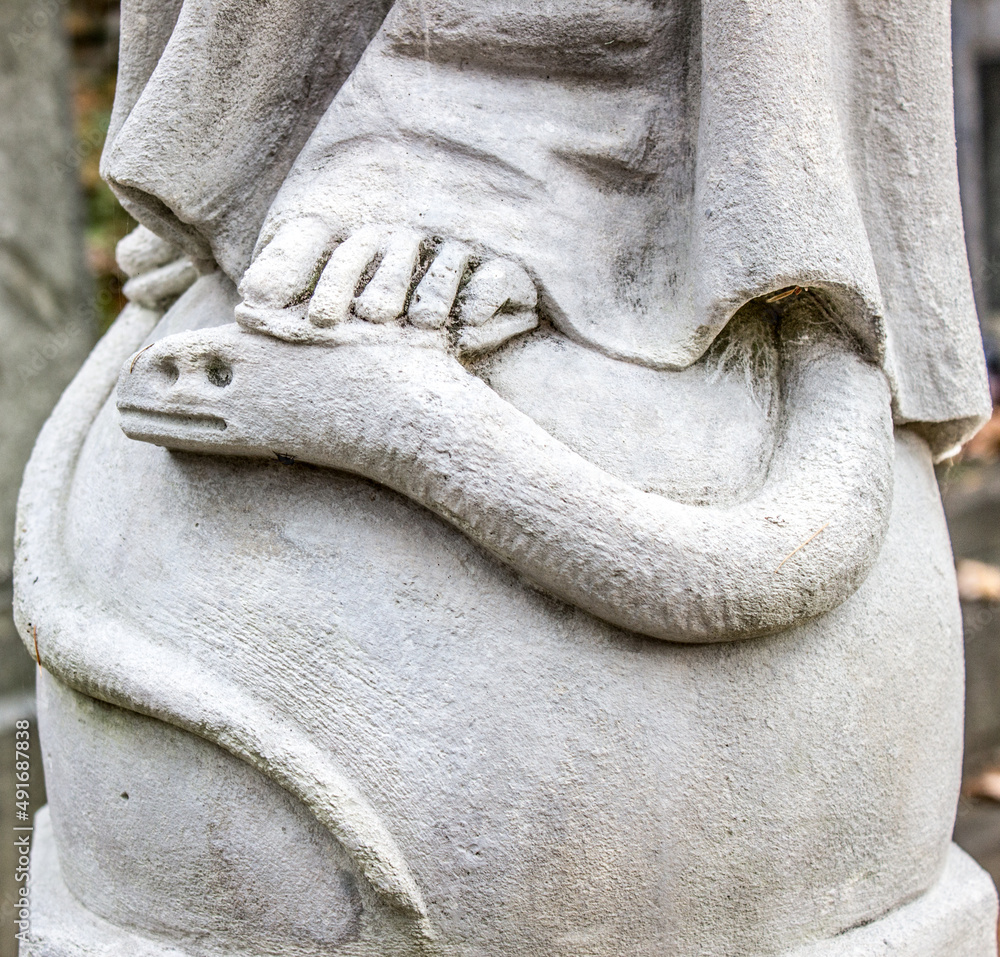 Foto de The snake is crushed by a woman's leg. Biblical story of the ...