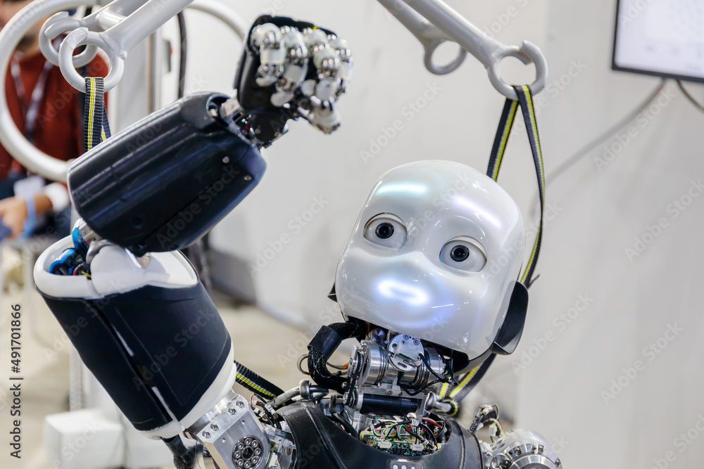 Humanoid robot made by the Italian Institute of Technology (IIT ...