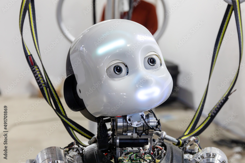 Humanoid robot made by the Italian Institute of Technology (IIT ...