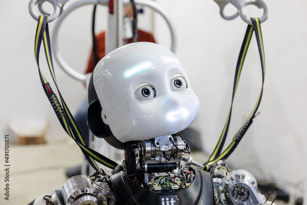 Humanoid robot made by the Italian Institute of Technology (IIT ...