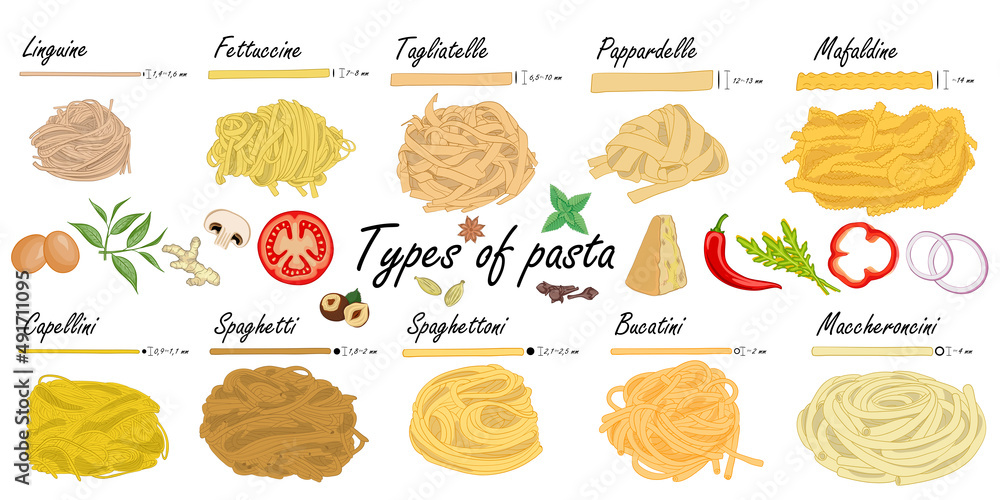 Types of pasta. Long pasta difference, illustration example. Stock ...