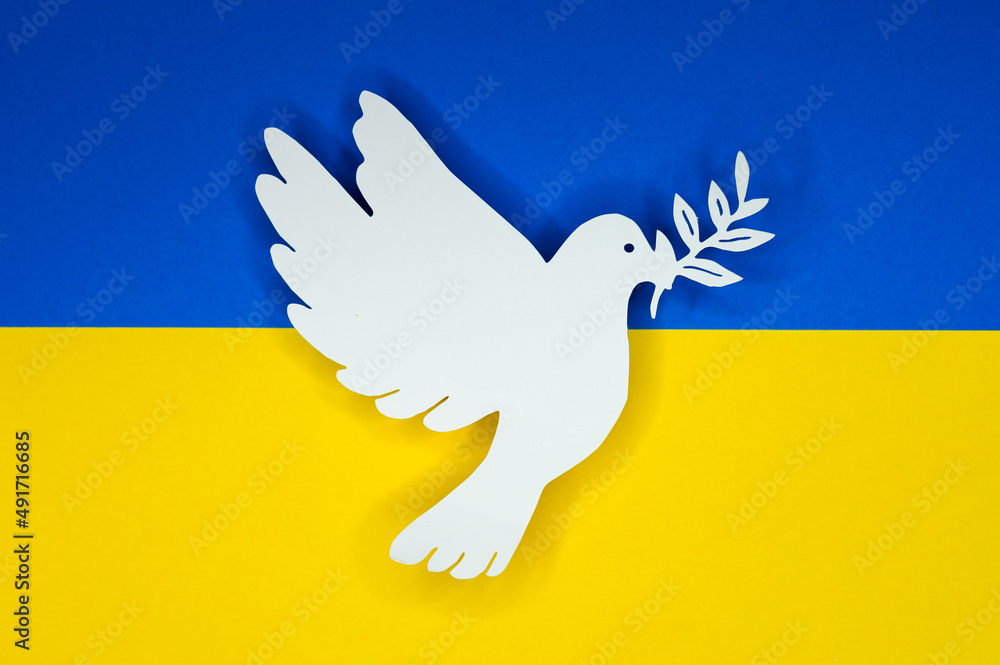 White dove as symbol of peace on ukraine flag. Pace in Ukraine, symbol ...