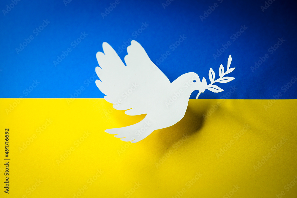 Dove As A Symbol Of Peace On Ukraine Flag End Of War And Attacks Of dove-as-a-symbol-of-peace-on-ukraine-flag-end-of-war-and-attacks-of