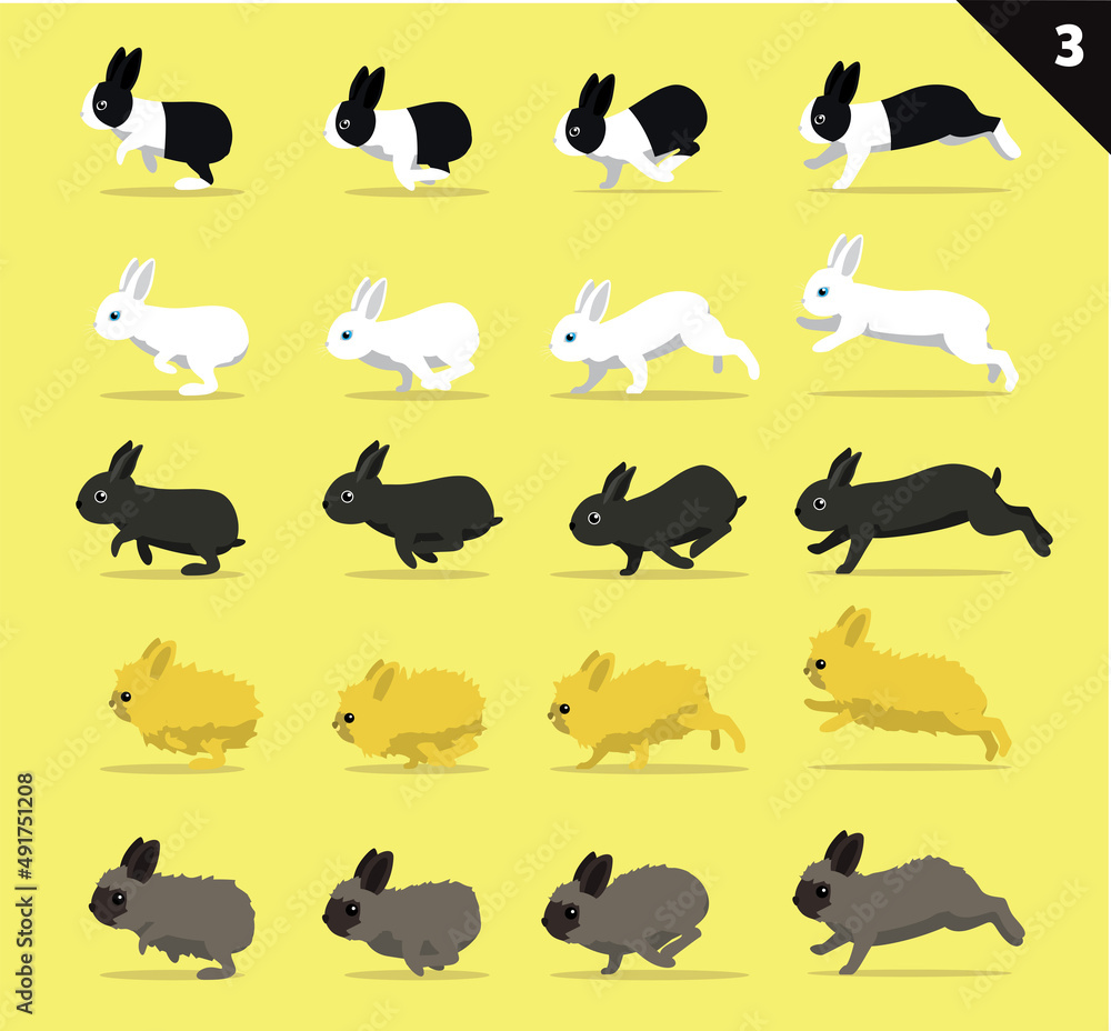 Animal Animation Sequence Various Rabbit Cartoon Vector Moving Set 3 ...