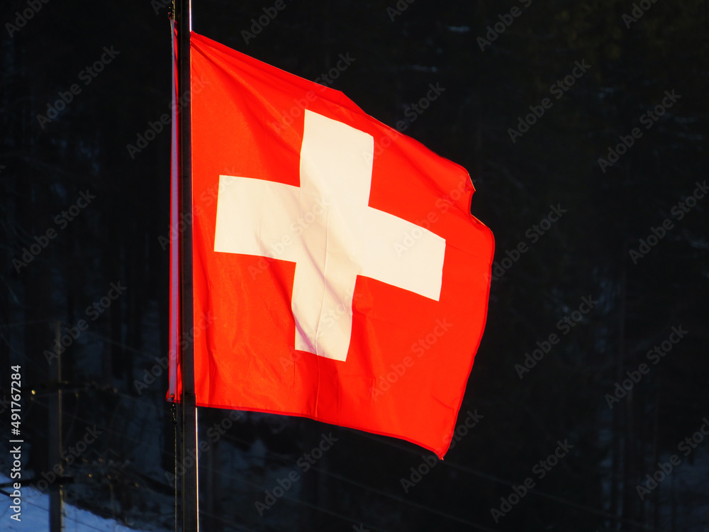National flag of the Swiss Confederation (Flag of Switzerland ...