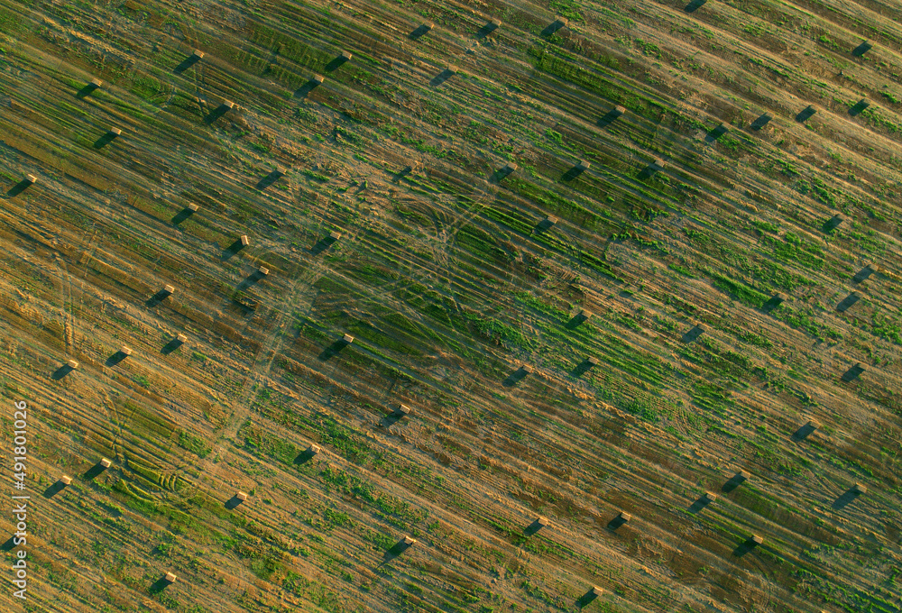 Field top view. Field with hay and haystack. Hay bale from residues ...