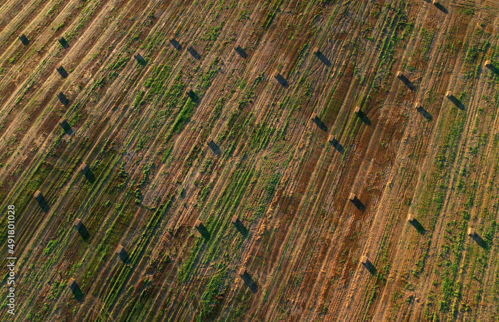 Field top view. Field with hay and haystack. Hay bale from residues ...