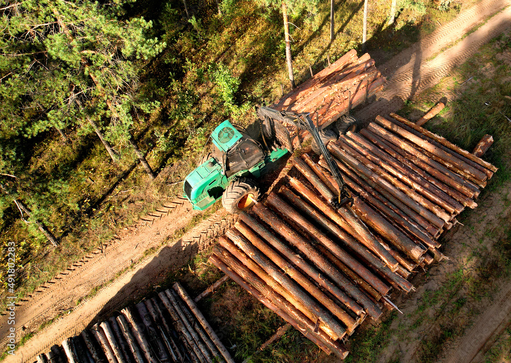Crane forwarder machine during clearing of forested land. Wheeled ...